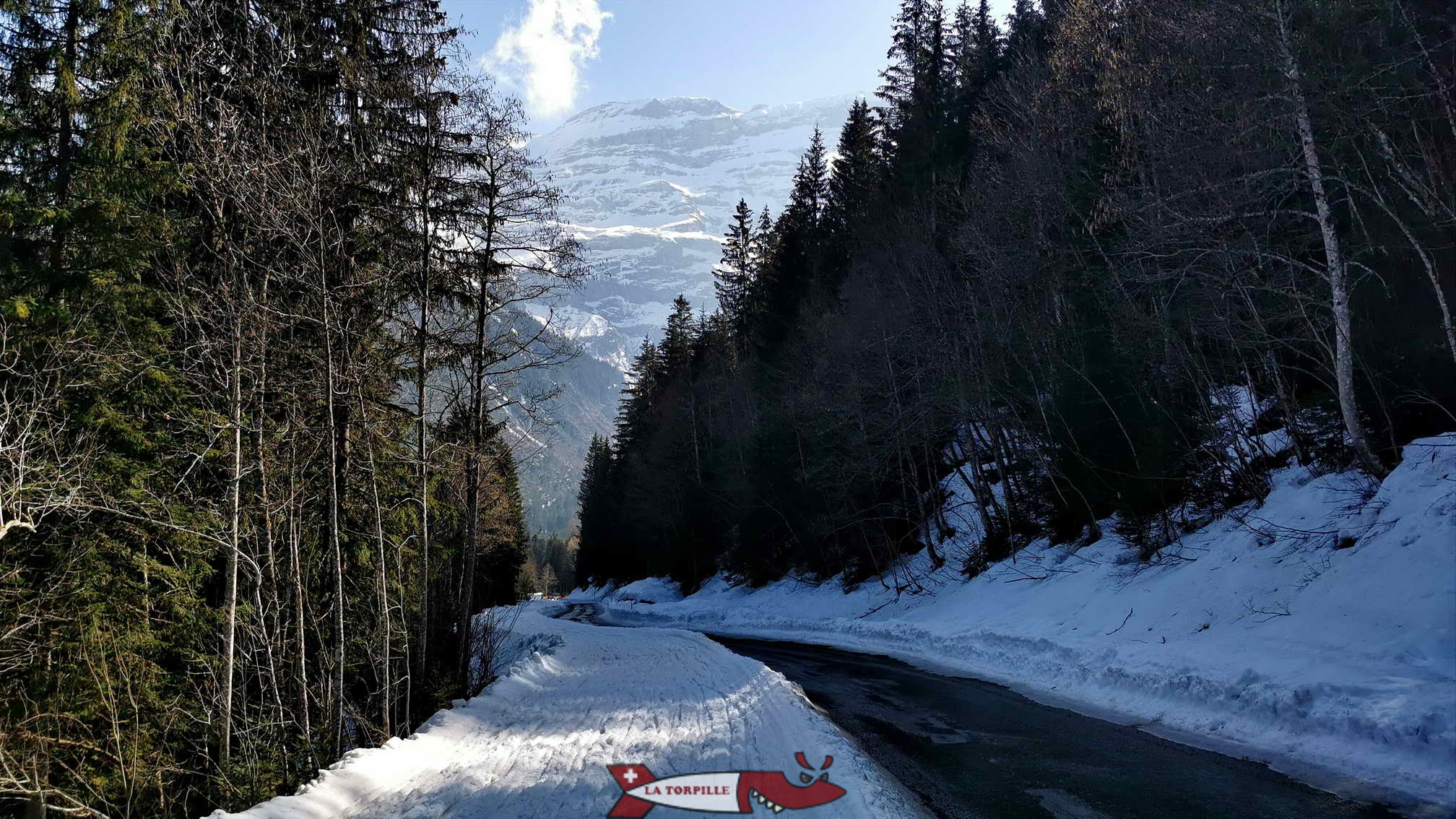 🛷 Luge d'Hiver aux Diablerets | Télécabine Diablerets Express dans les ...