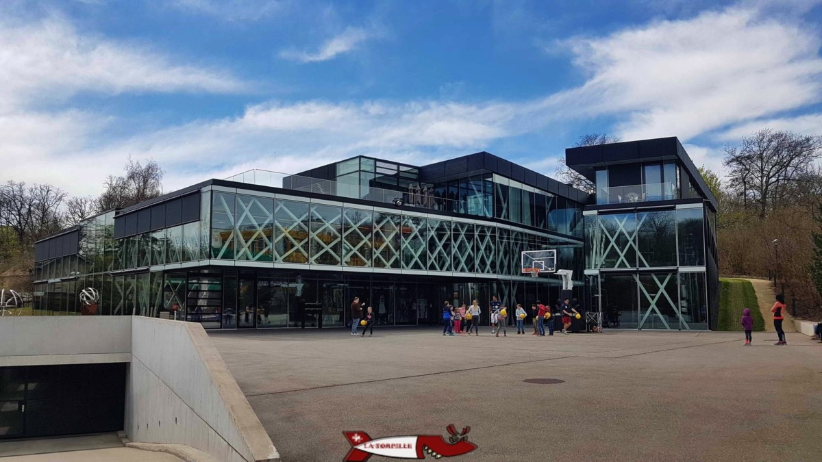 🖼️ Maison du Basketball à Mies | FIBA