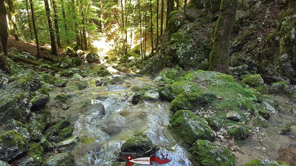 💧 Cascade de Môtiers Val-de-Travers | Balade dans le Canton Neuchâtel