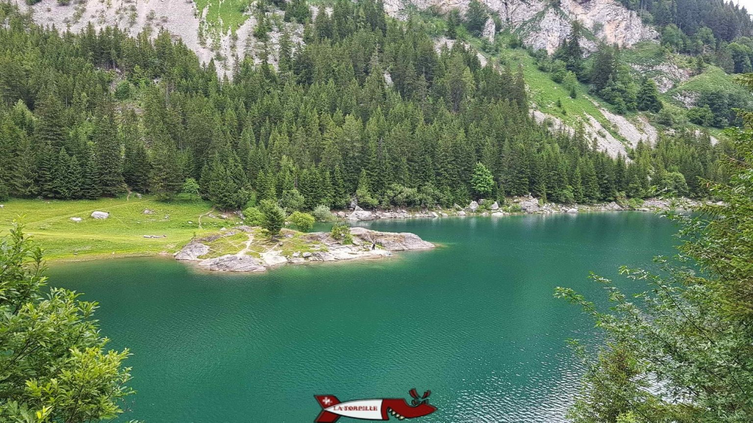 🚤 Lac Taney Région du Grammont | Balade à Vouvry