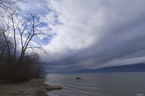 🏖️ Plage de Forel - Estavayer | Lac de Neuchâtel | Région de la Broye ...